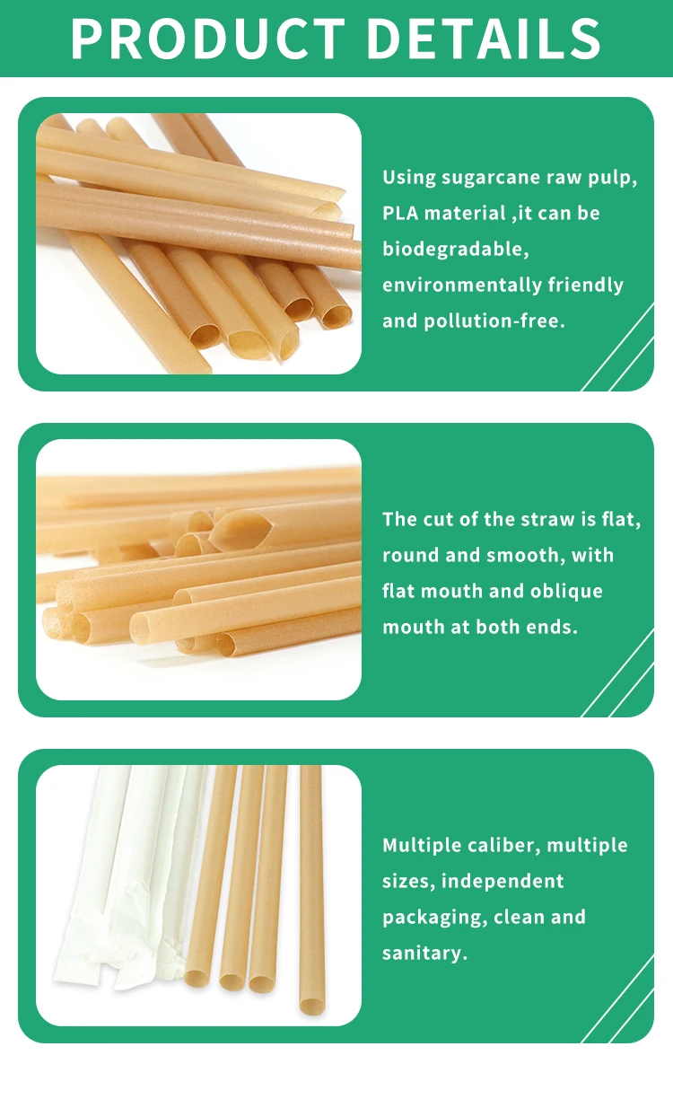 2023 Individual Wrapped Sugarcane Bagasse Straw Compostable ...