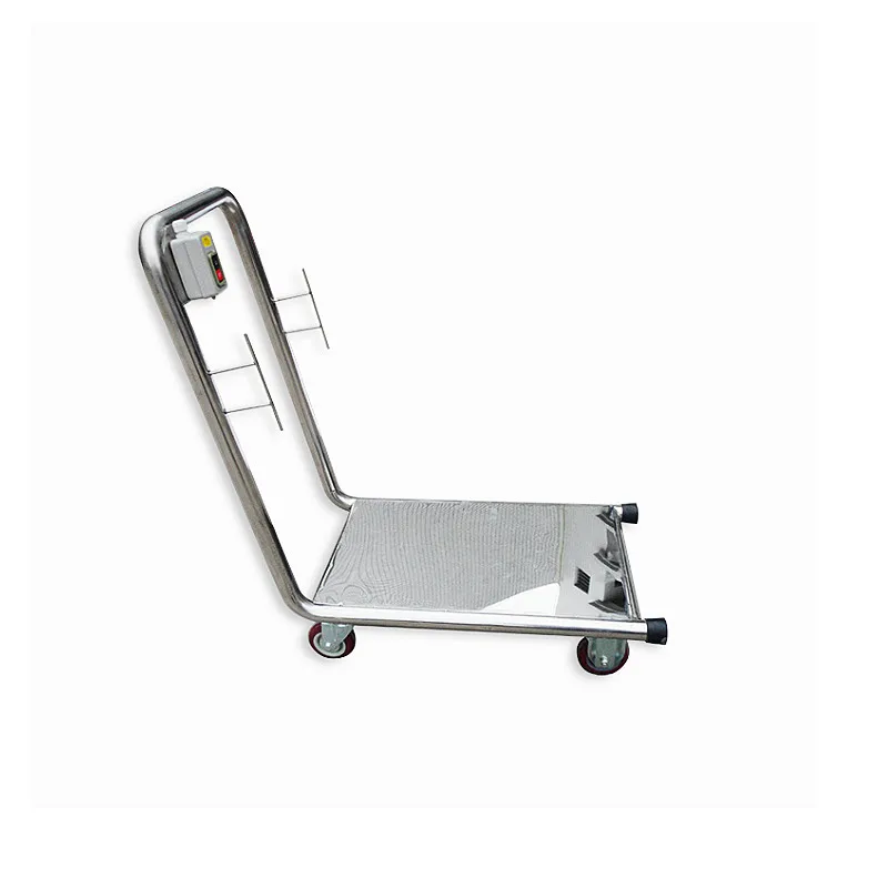 Swimming Pool Stainless Steel Trolley/bump Lifting Trolley - Buy Pool ...