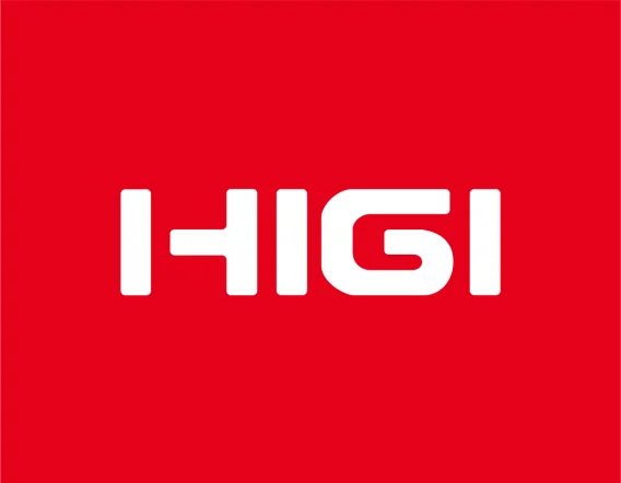 Company Overview - Shenzhen Higi E-Commerce Co., Ltd.