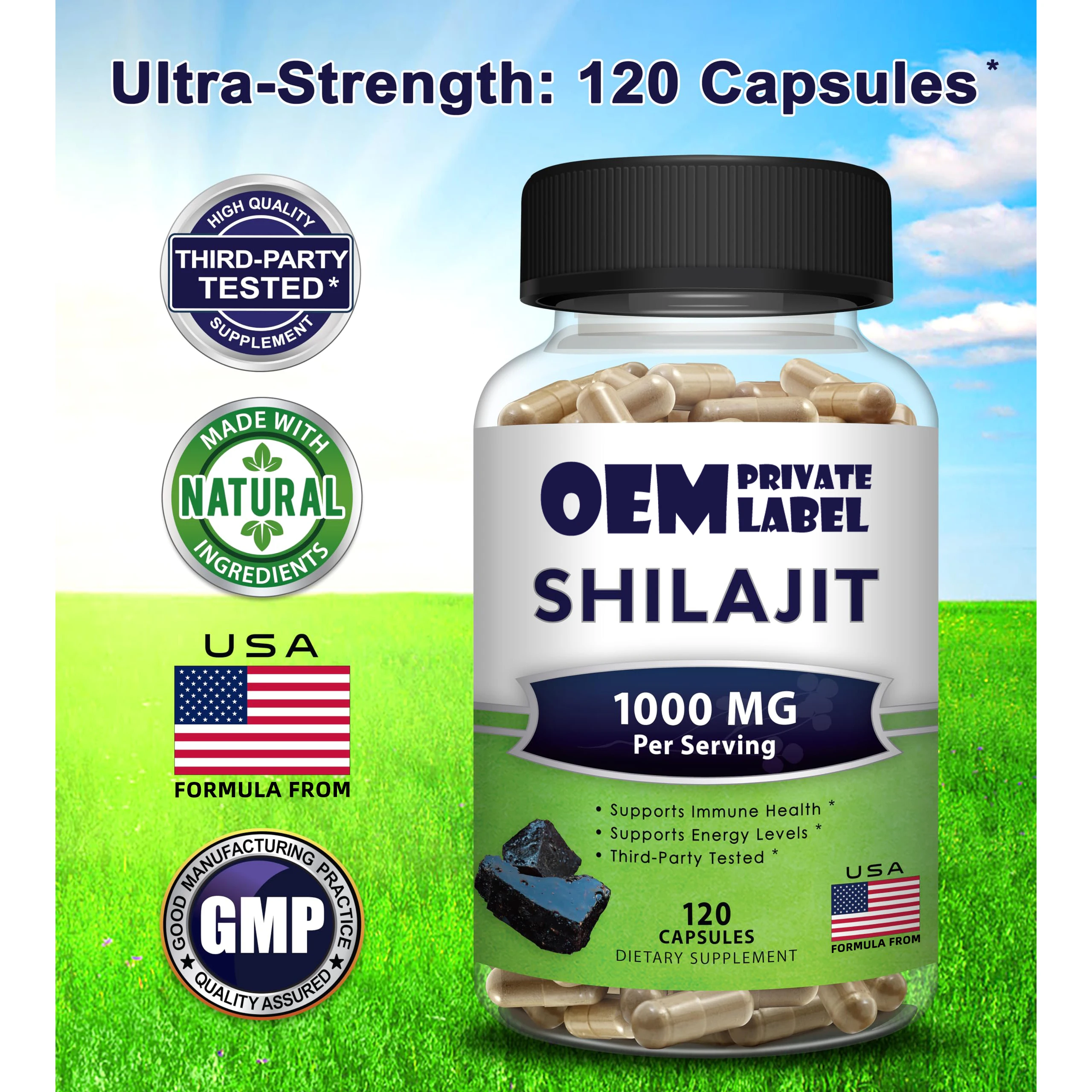 Oem Shilajit Resin Tablets For Immune Support Himalayan Shilajit ...