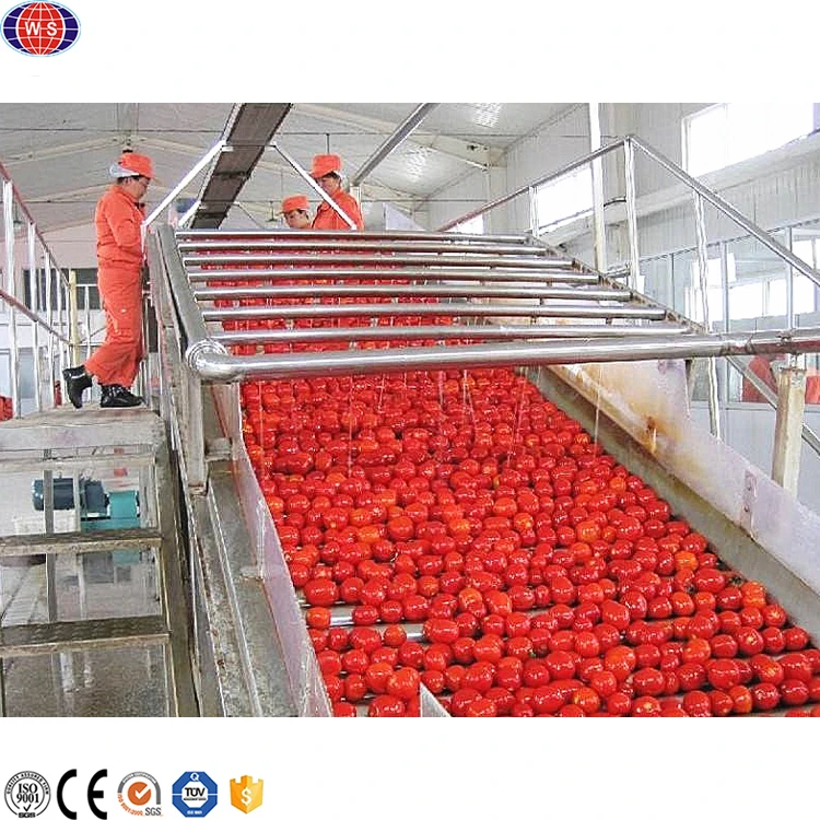 Tomato Concentrate Production Line Tomato Paste Making Processing ...
