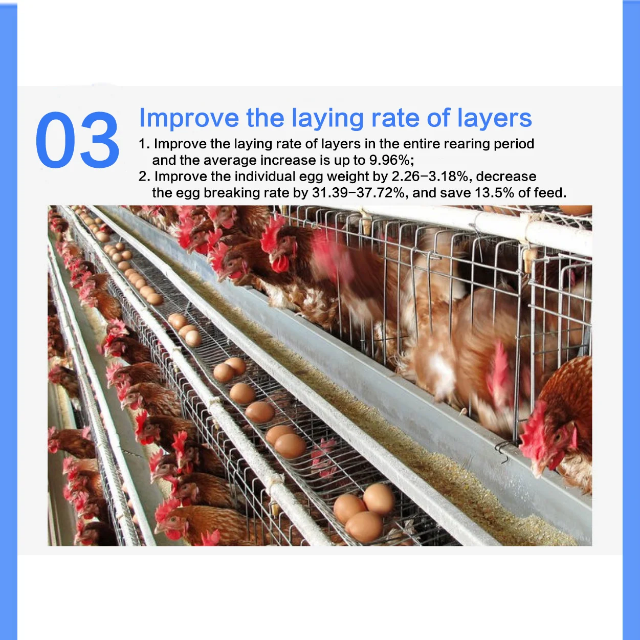 Diludine Animal Feed Improve Animal Reproductive Performance - Buy ...