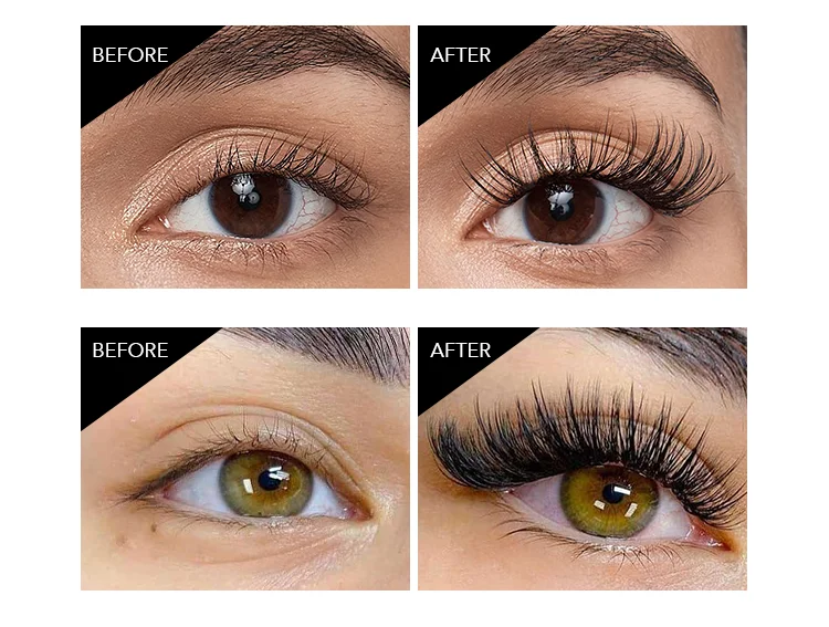 Gollee 3D-6D W Shape Hand Made Lash Extensions - Natural & Dense