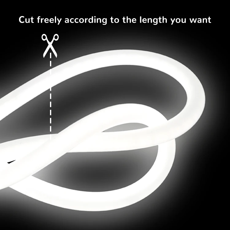 Addressable Running RGB Digital Neon Flex Light Strip Wifi Google APP ...