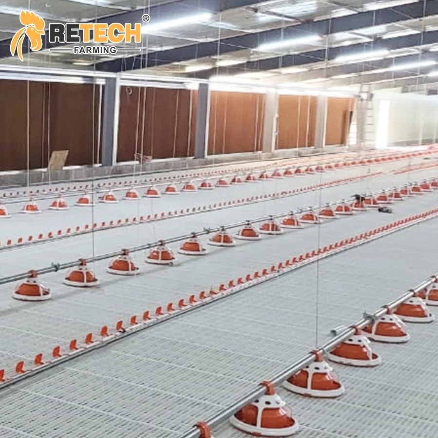 RETECH Farming Fully Automatic Chicken Broiler Floor Raising Equipment ...