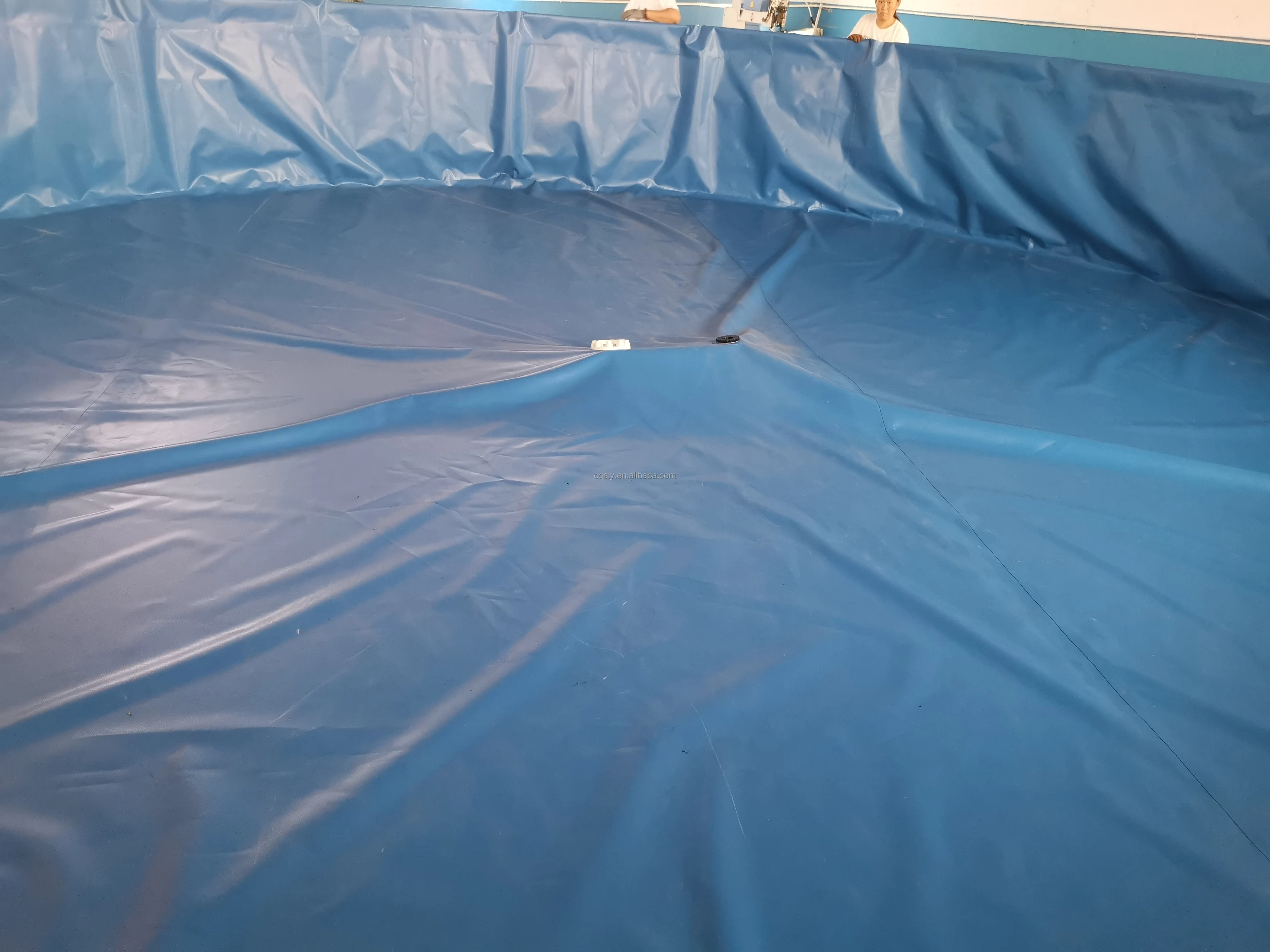 Biofloc Vs Ras: Efficient Aquaculture Systems for Shrimp & Fish