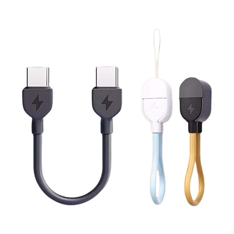 Short USB Charging Cable Keychain Mini 16cm PD USB-C to Type-C Fast ...
