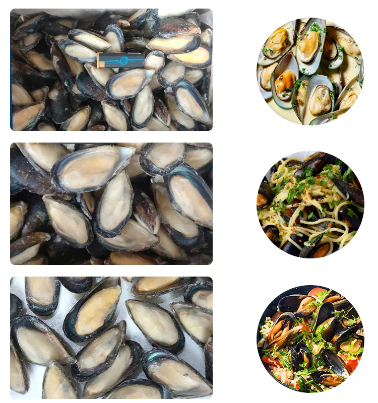 China Frozen Half Shell Mussel Suppliers, Factory - Wholesale Seafood ...