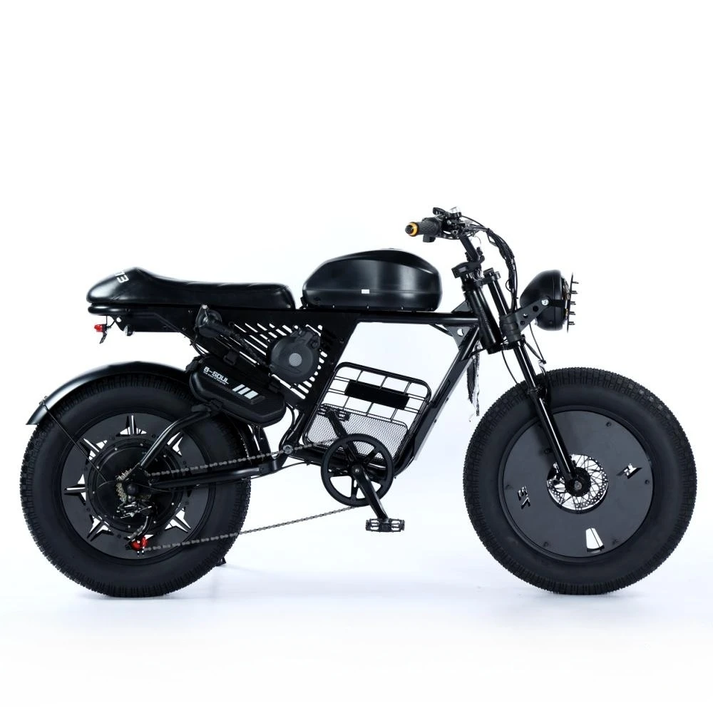Electric Fat Tire Bike 750W/1000W, 23Ah Battery, 7-Speed, Disc Brake ...