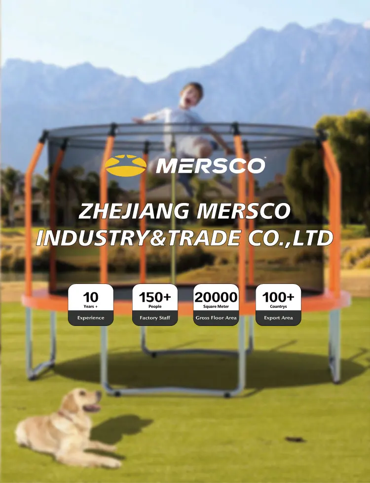 Best Factory 10ft 12ft Bungeeing Jumping Trampoline With Roof Big ...