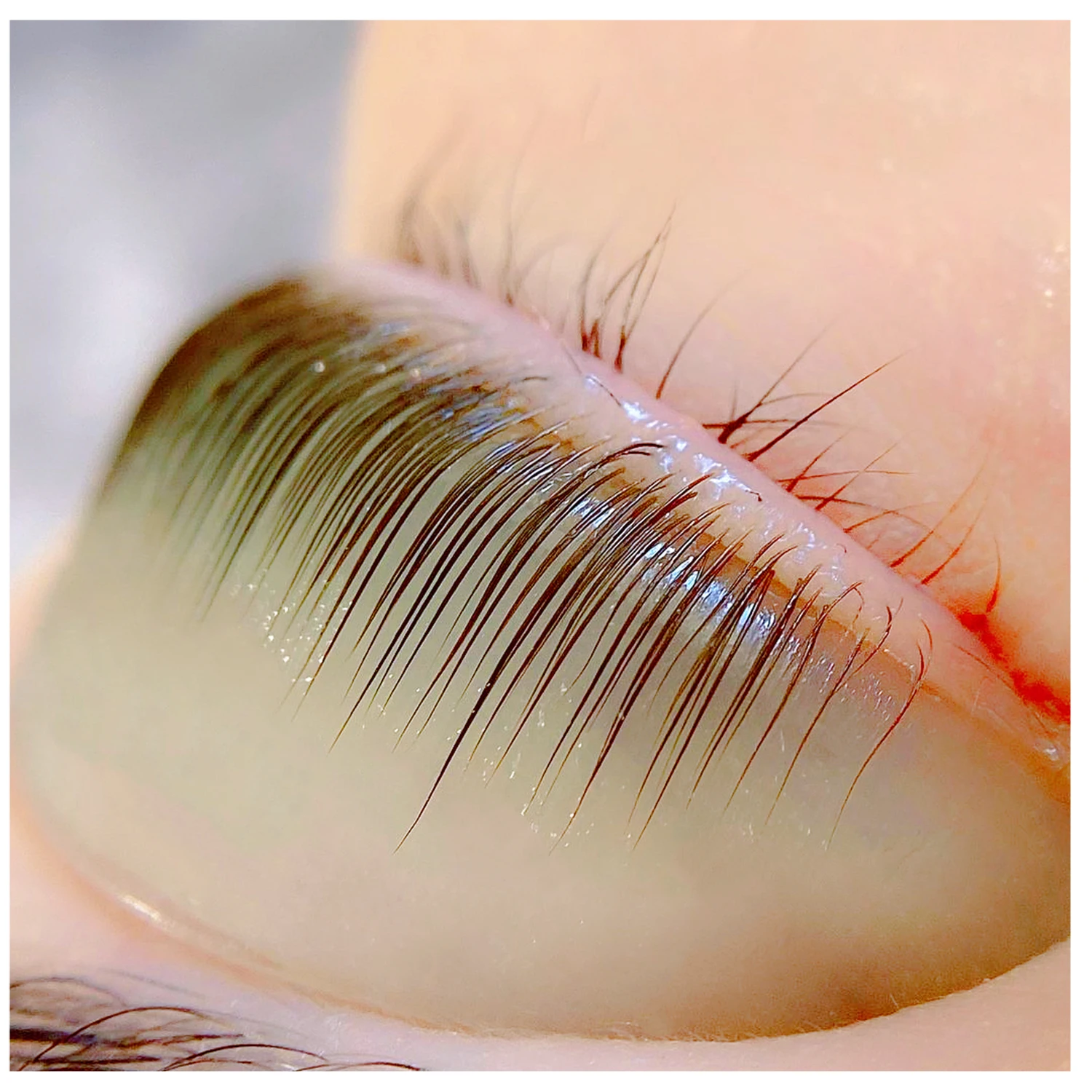 Forma Eyelash Shields Bigodini Ciglia Self Sticky Lash Lift Pads ...