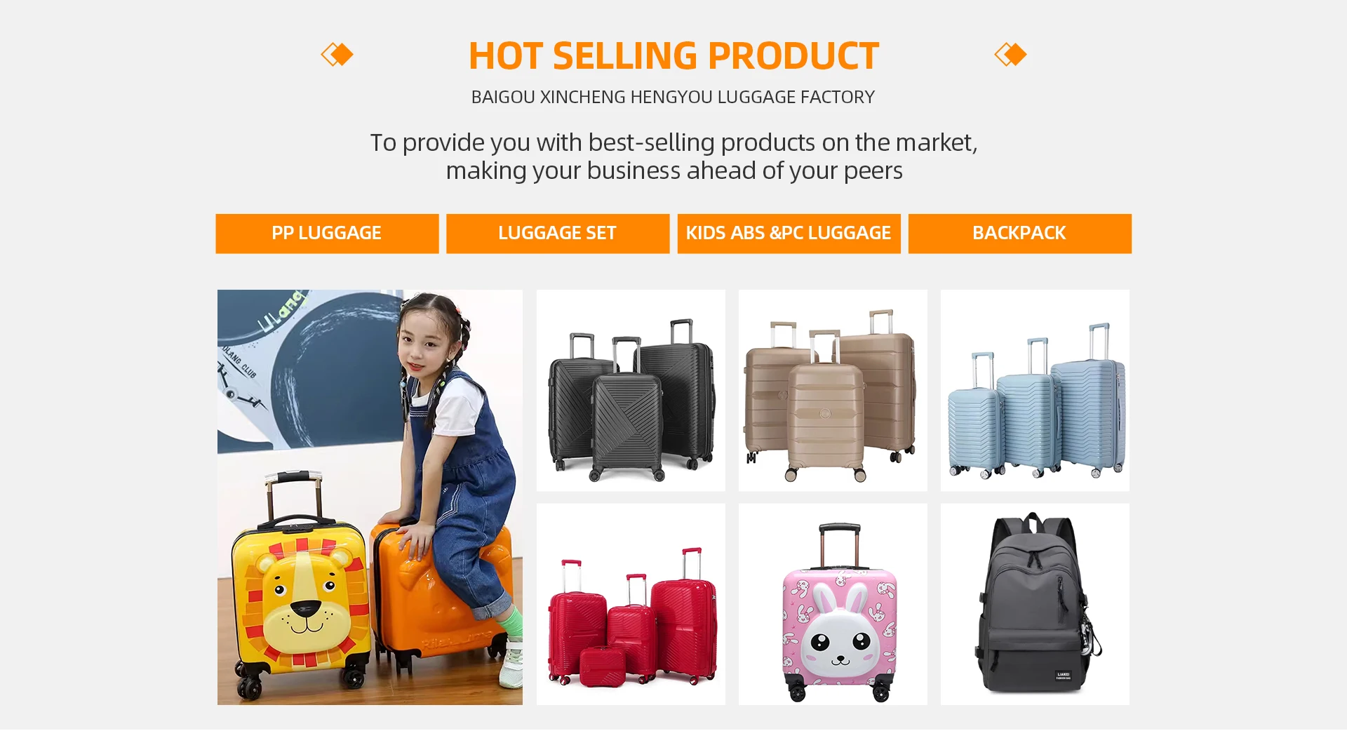 Company Overview - Baigou Xincheng Hengyou Luggage Factory