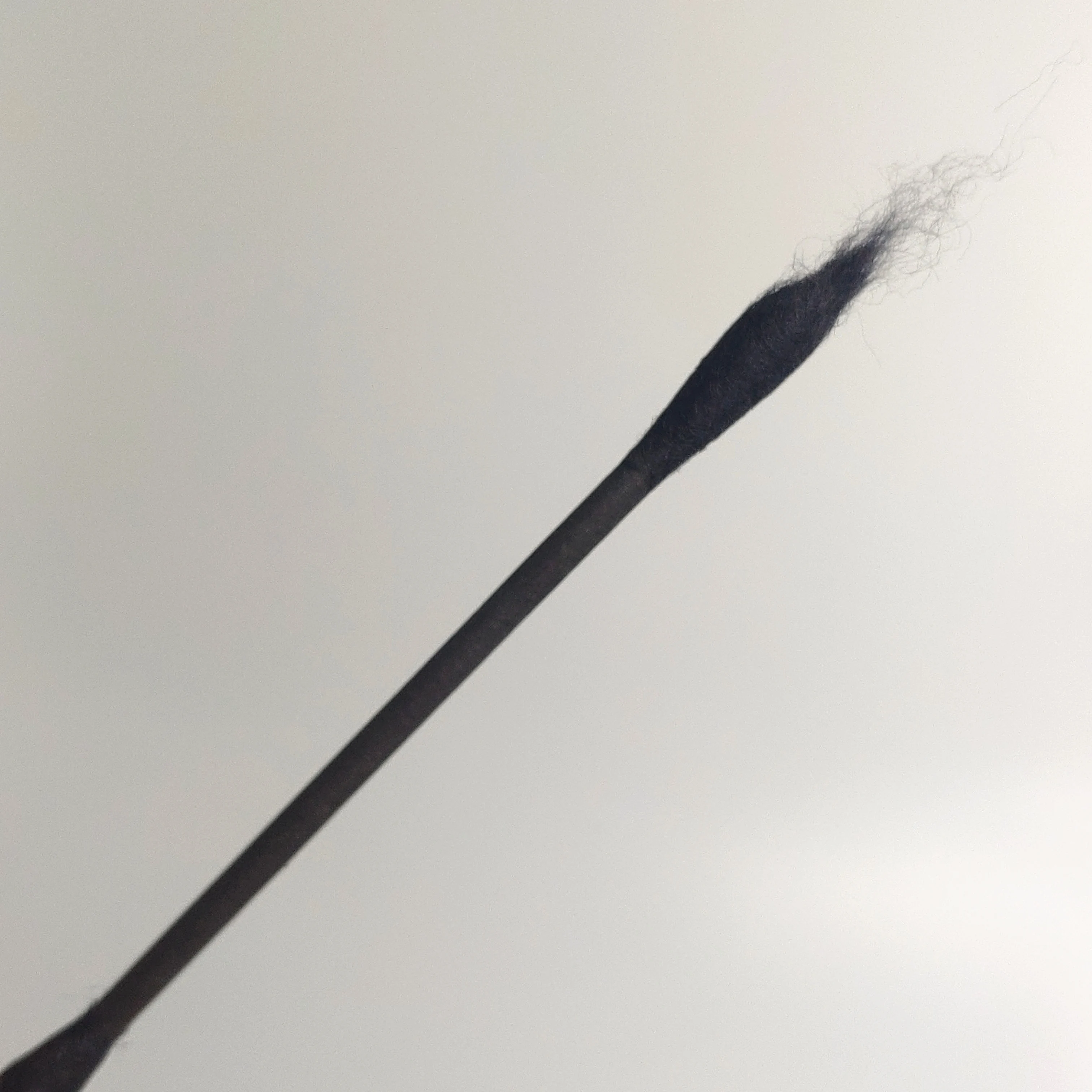 Black Paperstem Cotton Swab Double Tips Head Ear Cleaning Swab Stick ...