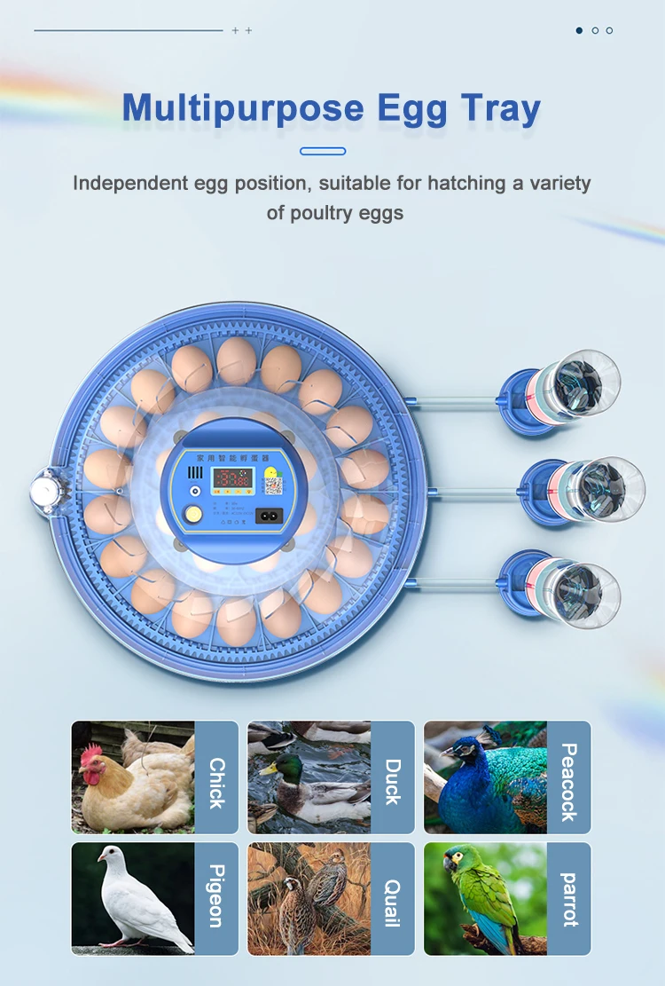 Home Use Dual Power Capacity 80 Egg Automatic Incubator Hatching Eggs ...