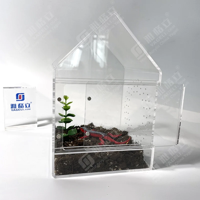 Custom Reptile Enclosure Acrylic Spider Breeding Box Enclosures Clear ...