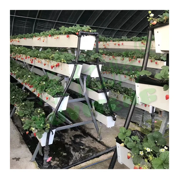 PVC NFT Gutter Hydroponics Strawberries Gully System For Growing ...