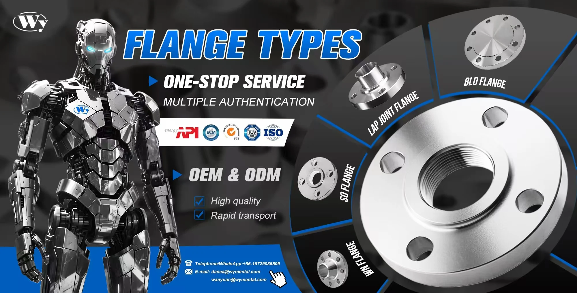 ANSI B16.5 Stainless Steel Flanges Pipe Connection 304 316 Forged Steel ...