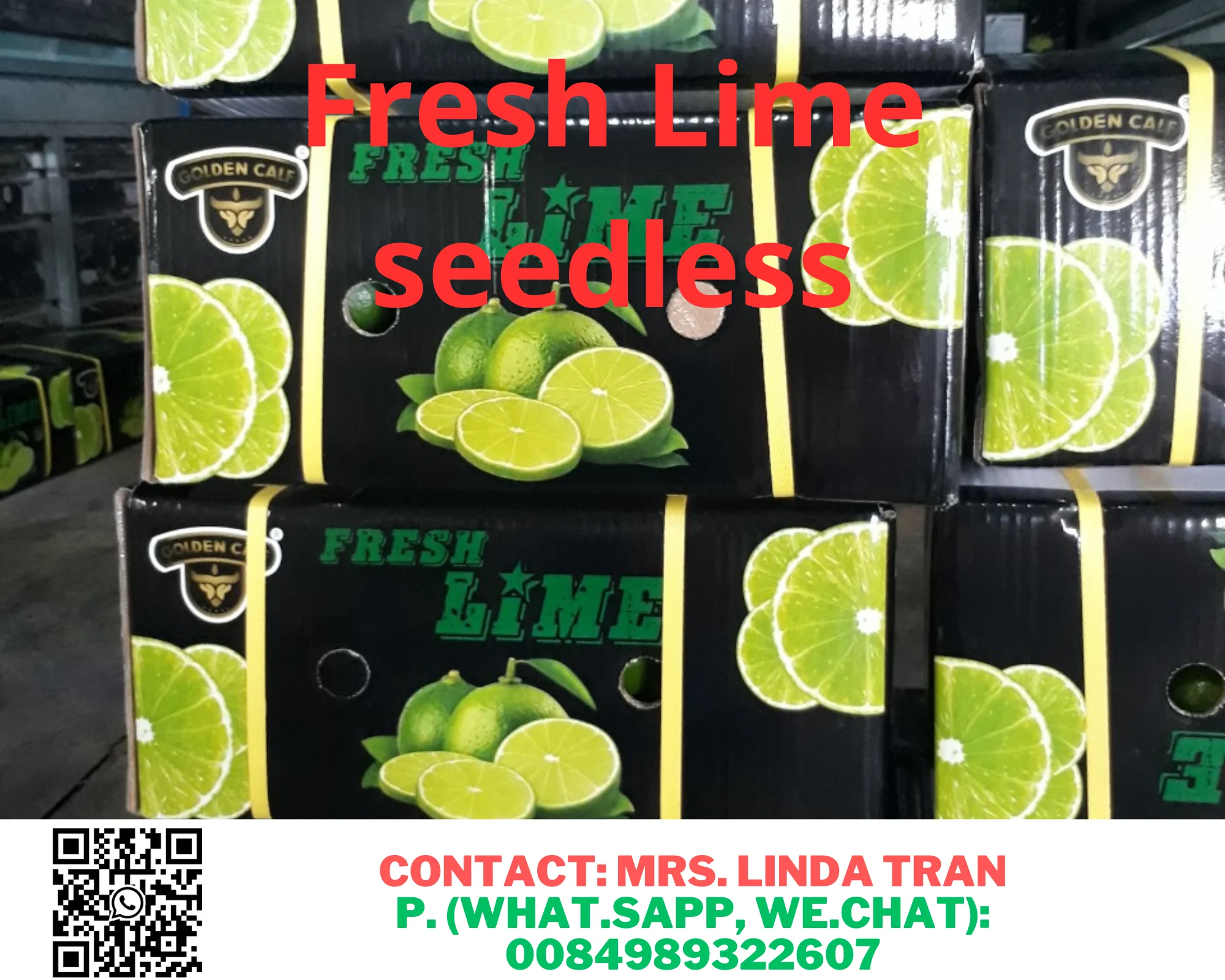 Fresh Lime Seedless Phytosanitary Certificate with Green Lemon Fresh ...