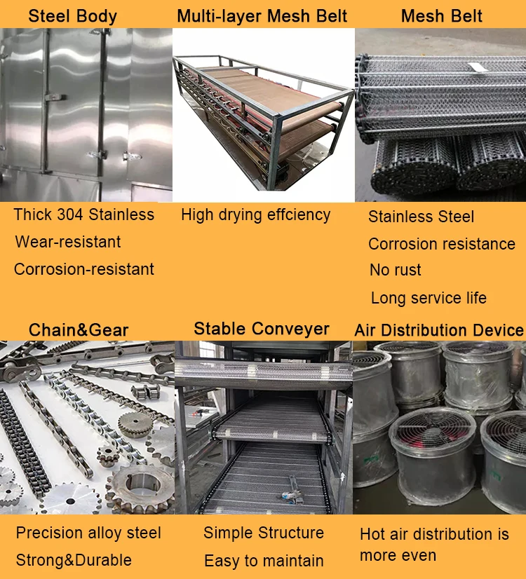 Mesh Belt Dryer - Efficient Drying Solutions for Cassava