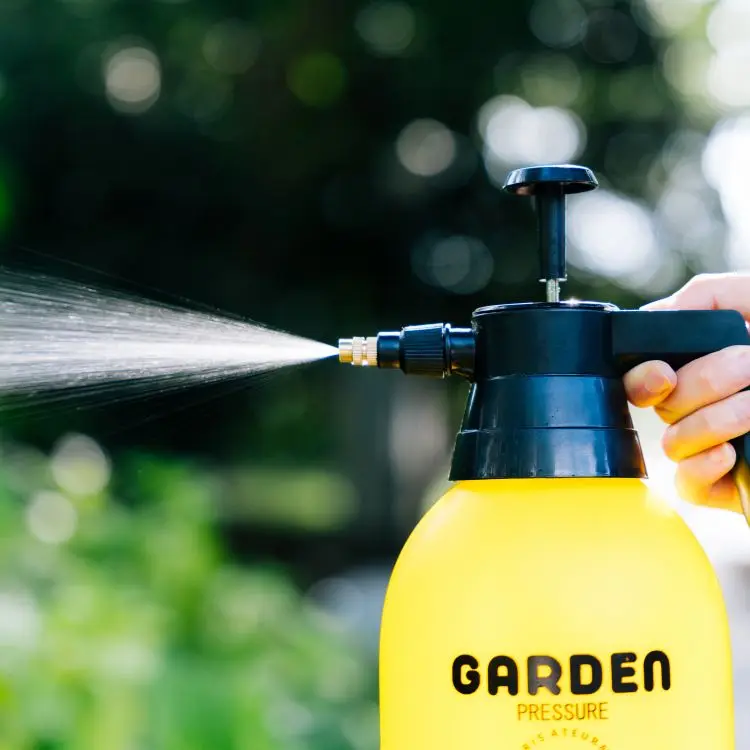 2l Portable Mini Handheld Garden Pressure Pump Spray Bottle Manual ...