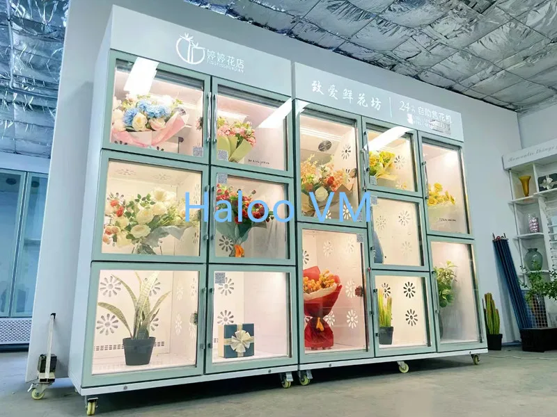 Haloo Vending Machine Supplier Mquina Expendedoras Hielo Florist ...