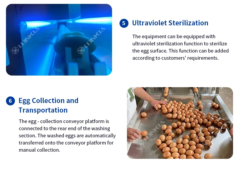 CE Industrial Agricultural Products Processing Egg Washing Shell Remove ...