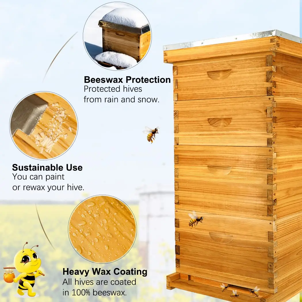 4 Layer Wooden Langstroth Bee Hive 100% Beeswax Dipped Beehive with ...