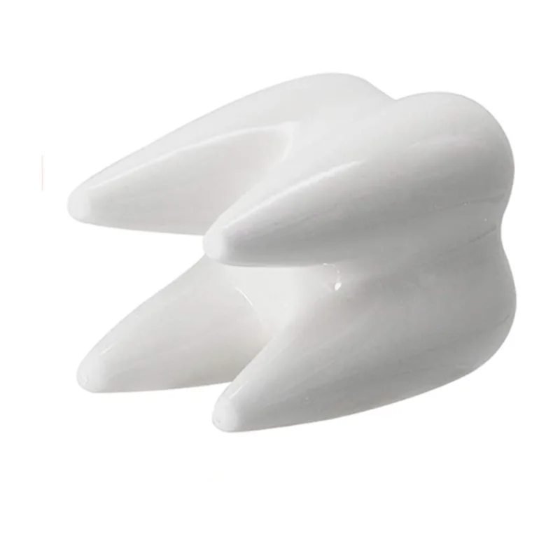 Cute White Ceramic Tooth-Shaped Planter Pots for Home