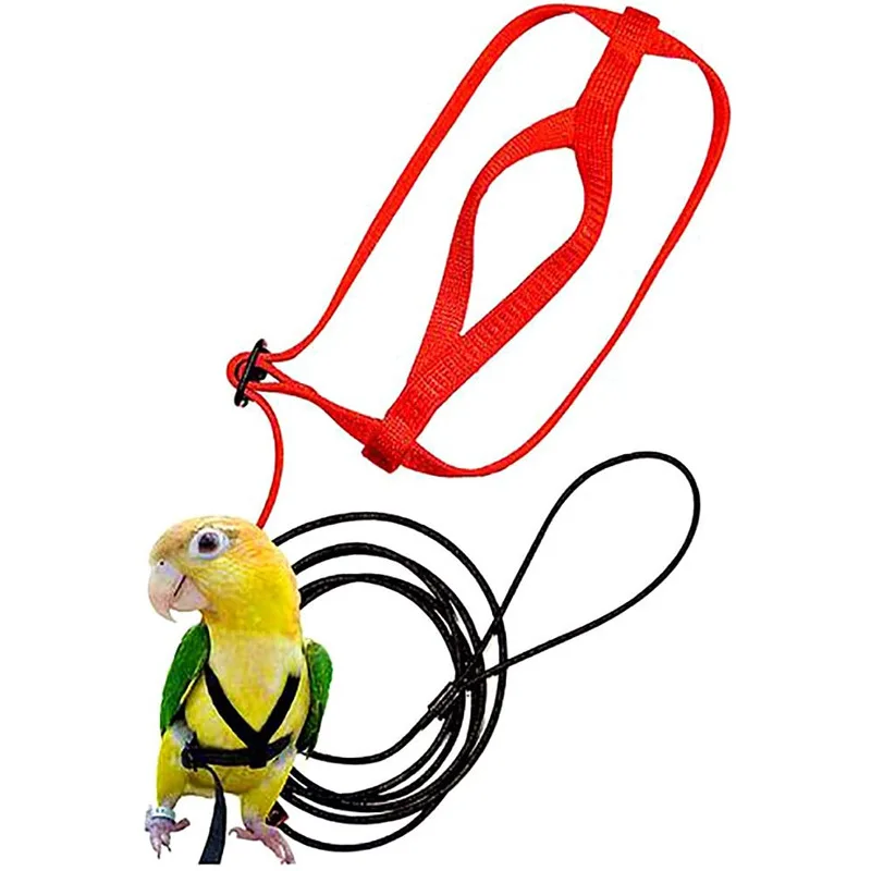 Cheap Sale Birds Harness Belt - Adjustable Parrot Leash