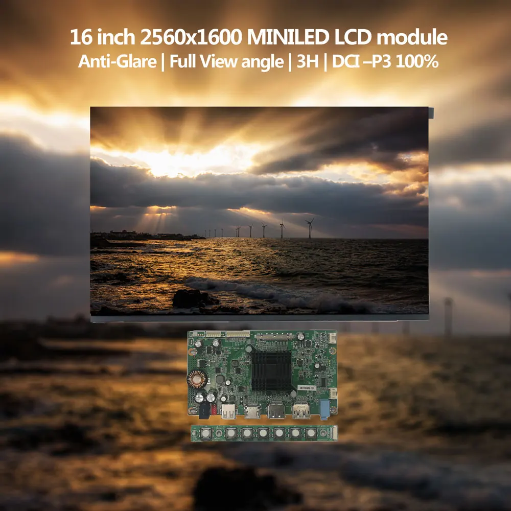 BOE NE160QDM-NY3 16.0 Inch Mini LED LCD Display for Notebooks