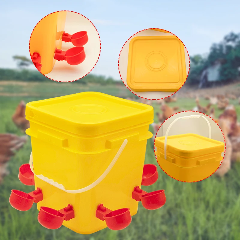 Yellow Bucket With Automatic Chicken Feeders And Drinkers Cheap Chicken ...