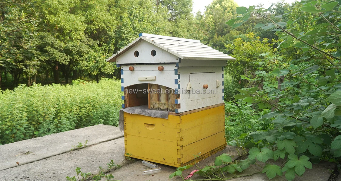 Honey Flowing Automatic Bee Hive Box Auto Flowing Bee Hive For Sale ...