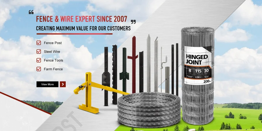 Durable T Posts for Garden Fencing - Wholesale Available