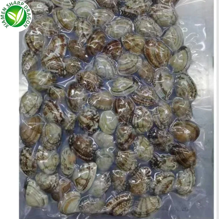 Frozen Short-Neck Clam Meat - Premium Seafood Quality