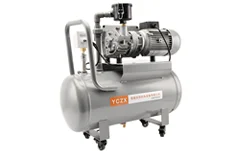 20m3/h 100kpa 220V 900W Rotary Vane Vacuum Pump Set by YCZX