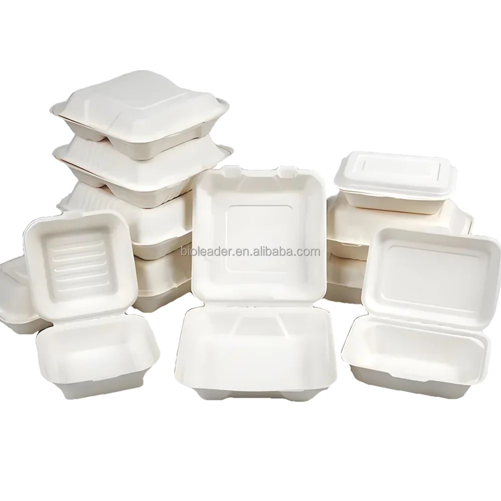 Bagasse Paper Plate Storage Container with Lid - Biodegradable