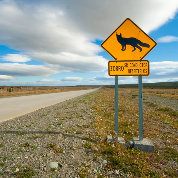 Diamond Shape Animals Warning Road Sign,Industrial Grade Aluminum,Easy ...
