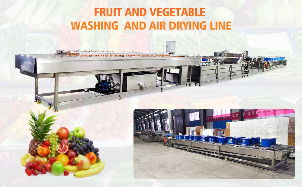 Complete 500kgs Mango Pulp Washing Sorting Machine Pineapple Peeling ...