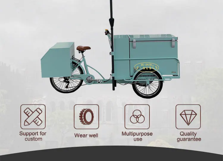 O-NOBLE Ice Cream Bike - 120L Refrigerator & Electric Tricycle