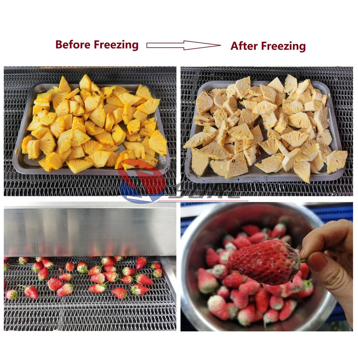 Ultra Performance Tunnel Freezer - Efficient Food Freezing
