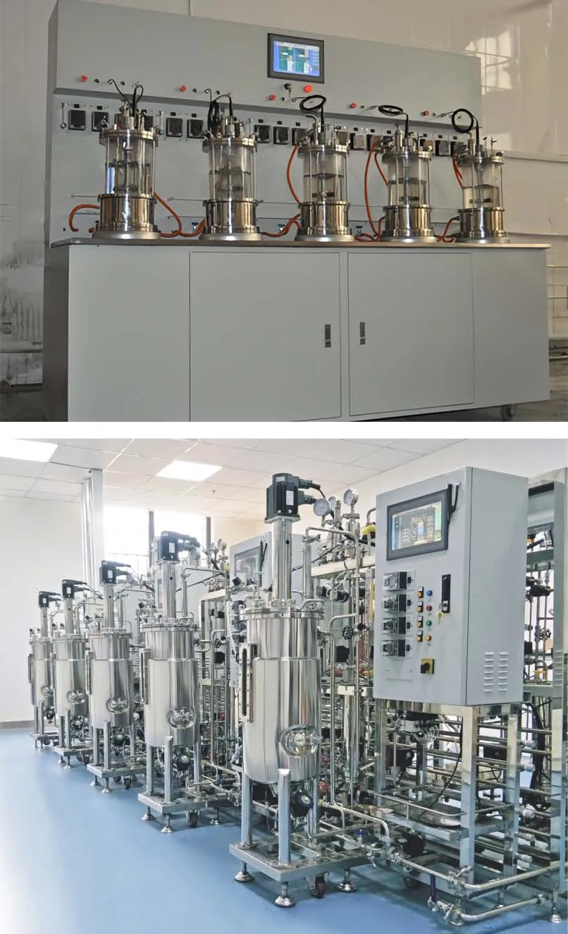 Lab Parallel Bioreactor 10 Inch Touch Screen Controller High Throughput ...