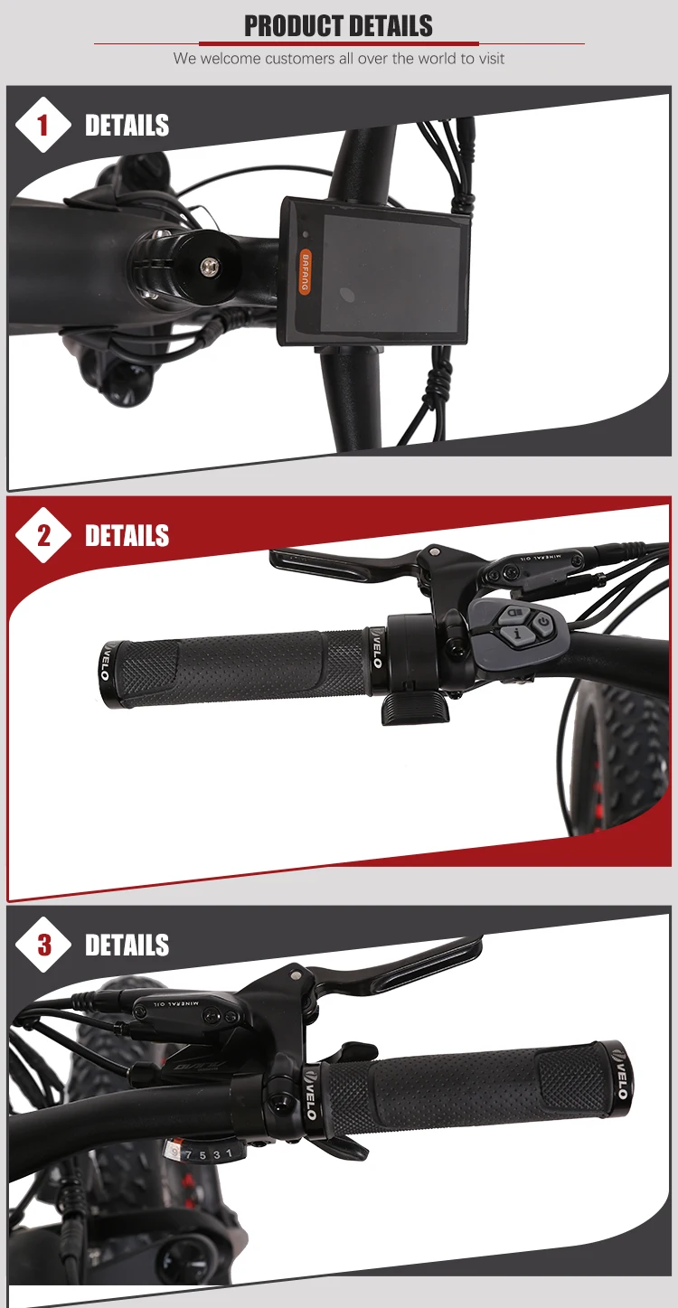 Carbon Fiber Mid Engine e bike 45Km/h Electric Bicycle Bike 48V 1000W ...