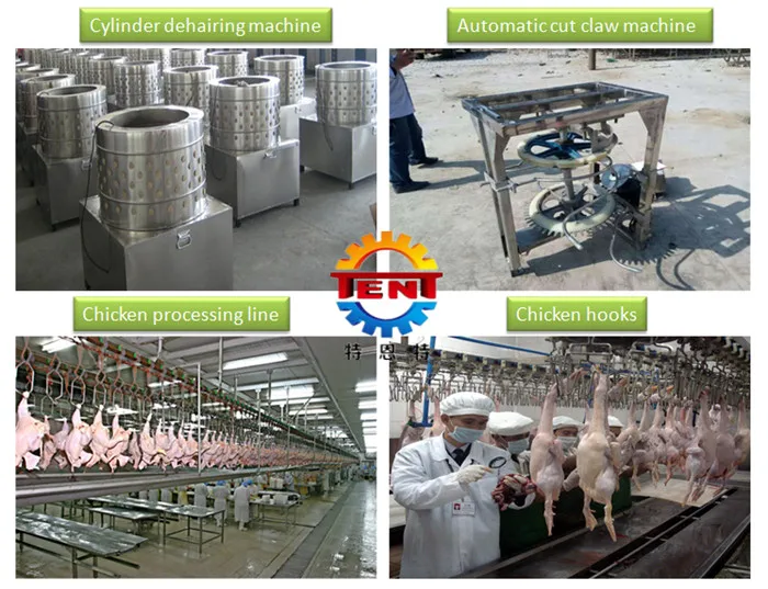 Small Chicken Slaughtering Machine Pump Motor Bearing Core Poultry ...