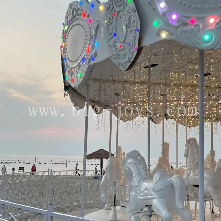 16 Carousels In The Amusement Park Factory Direct Sales Outdoor ...