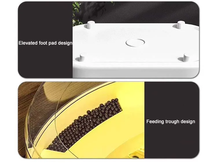 Large Plastic Turtle Tank - Ideal for Reptile Breeding