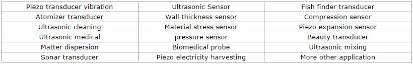 PZT4 PZT5 PZT8 Piezoelectric Ceramic Discs for Ultrasonics