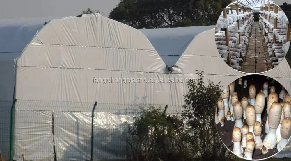 UV Protected Agricultural Plastic Panda Film Reinforced Greenhouse Film ...