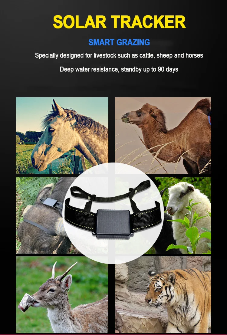 Dual Axis Single Axis Solar Tracker Sun Powered Collar Cow Gps Tracker ...