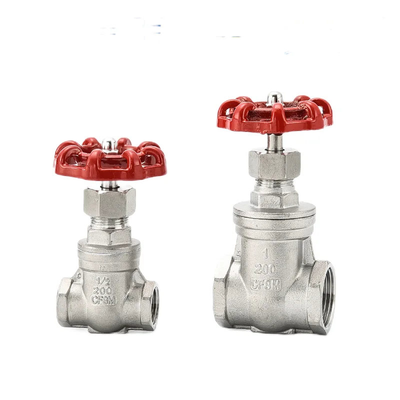 Dn8-50 Gate Valve Stainless Steel Female Gate Valve Water Meter Valve ...