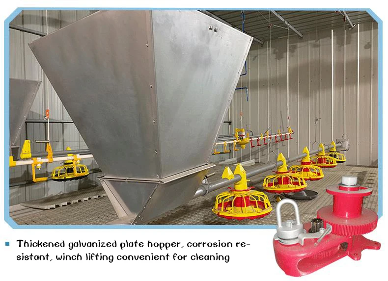 Automatic Cage Feeding System for Poultry Farms - 1 Year Warranty